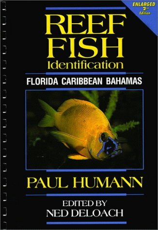 Reef Fish Identification: Florida, Caribbean, Bahamas by Humann, Paul ...
