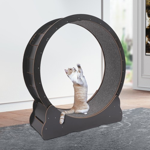 Modern Cat Wheel Round Cat Exercise Wheel for Indoor Cats With Floor ...