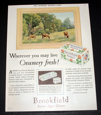 1928 OLD MAGAZINE PRINT AD, BROOKFIELD BUTTER, EGGS, CHEESE- ALL ...
