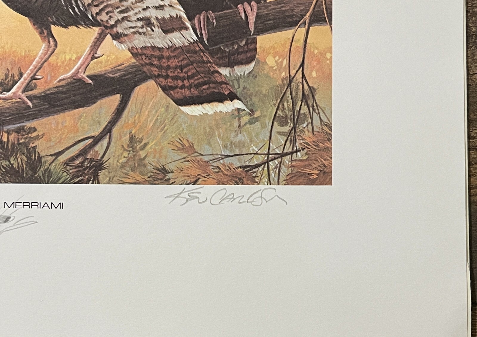 1979 NWTF4 National Wild Turkey Federation Print **Remarque** w/ Stamp ...