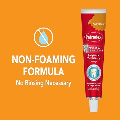 Petrodex Toothpaste for Dogs and Puppies, Cleans Teeth and Fights Bad ...