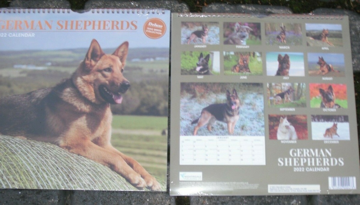 German Shepherd Calendars
