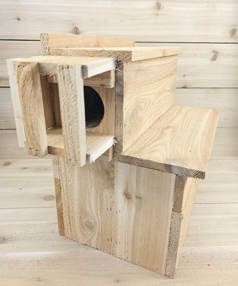 Squirrel House Nesting Box Bird Nature Animals Safety Wooden Cedar ...