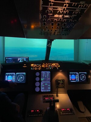 Airbus A 320 Flight Simulator Cockpit Complete Cabin FD320 Boeing | eBay