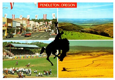 Vintage Pendleton Oregon OR Postcard Lithographed Photo Card *Unused ...