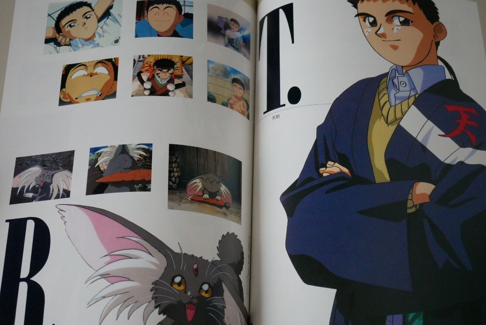 Tenchi Muyo! Ryo-Ohki Part 1 (Art Guide Book) Damage - Japan | eBay