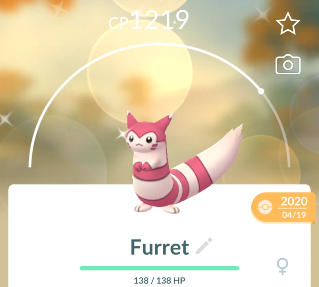 Furret Pokemon Evolution