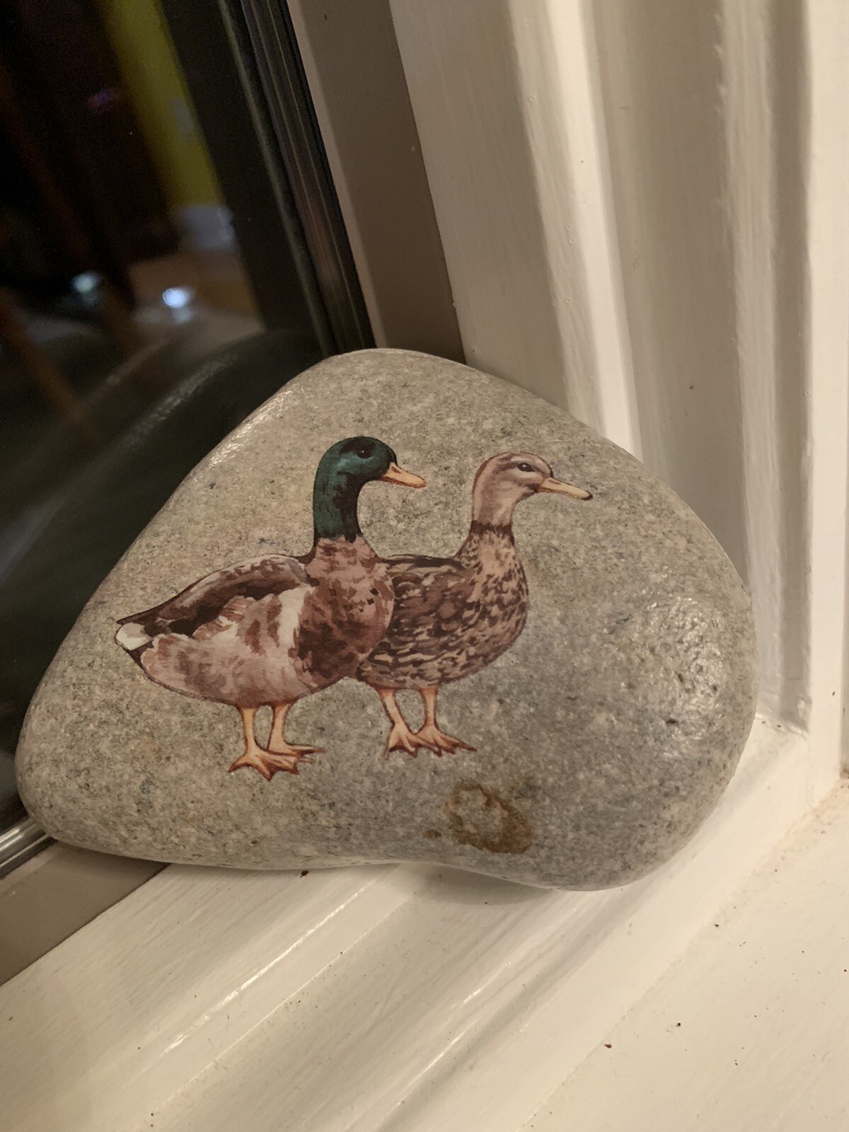 art rock ducks 4x4" | eBay