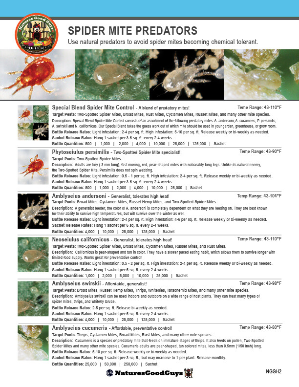 NaturesGoodGuys - Neoseiulus californicus - Predatory Mite | eBay