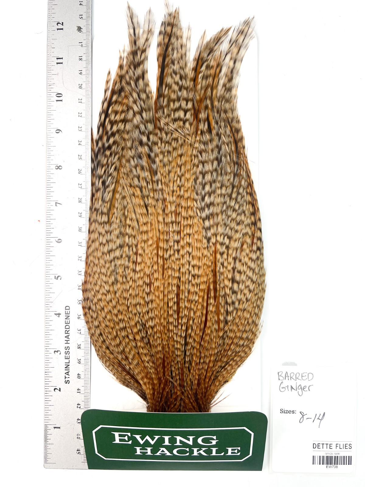 Ewing Hackle - Dry Fly Cape - Barred Ginger #738 | eBay