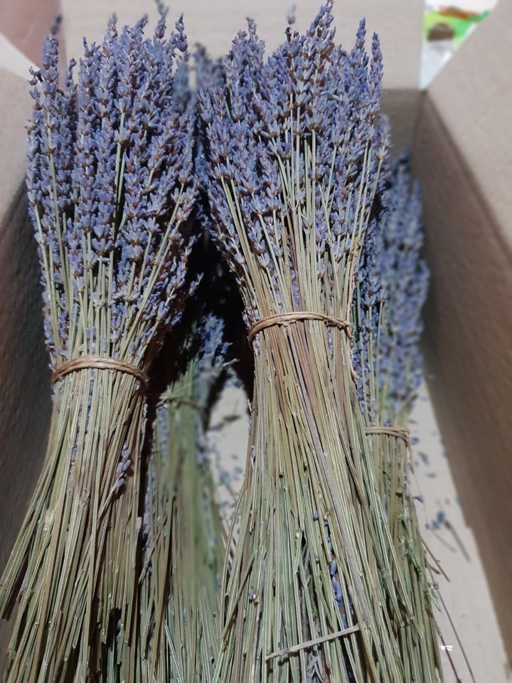 Greek Dried Lavender Bunch 1200 stems 300*4 bunches 32cm Organic ...