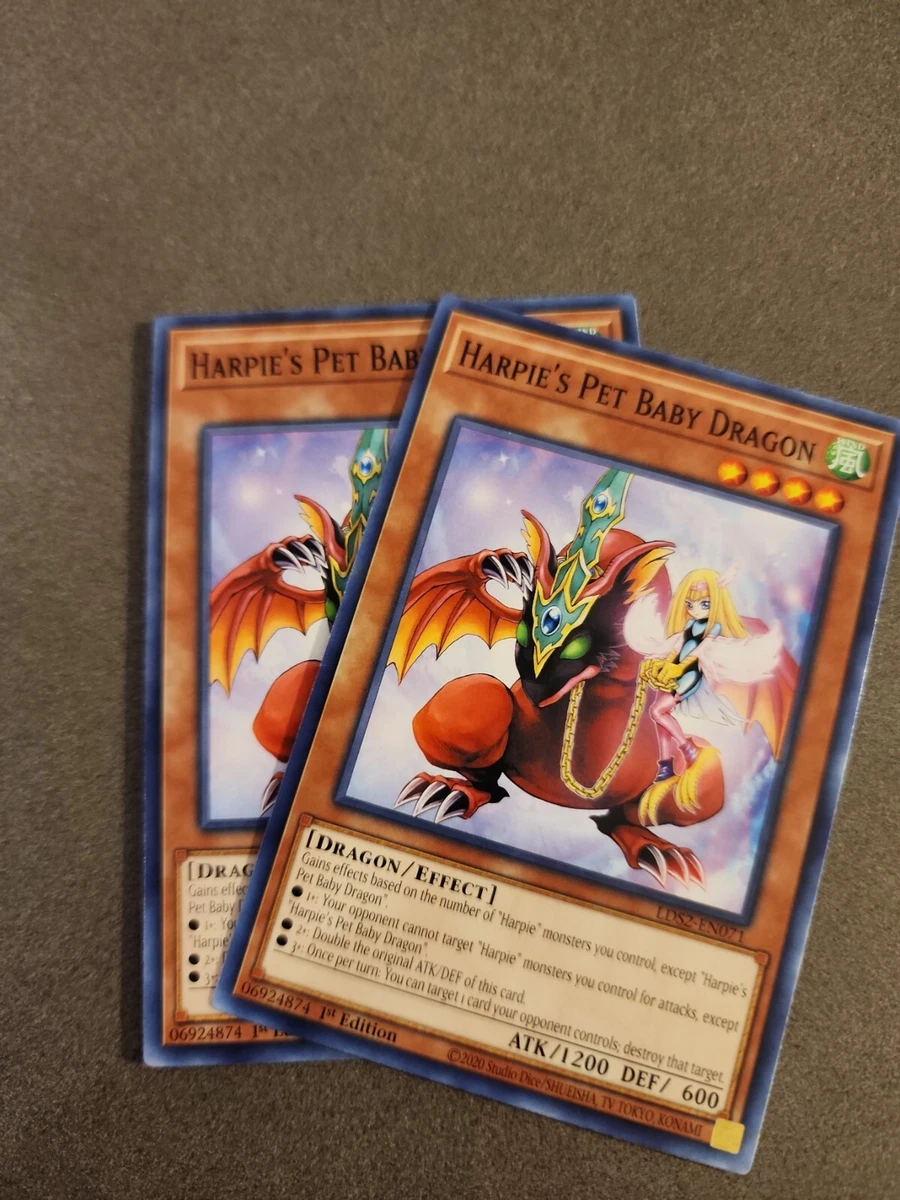 Harpies Pet Baby Dragon