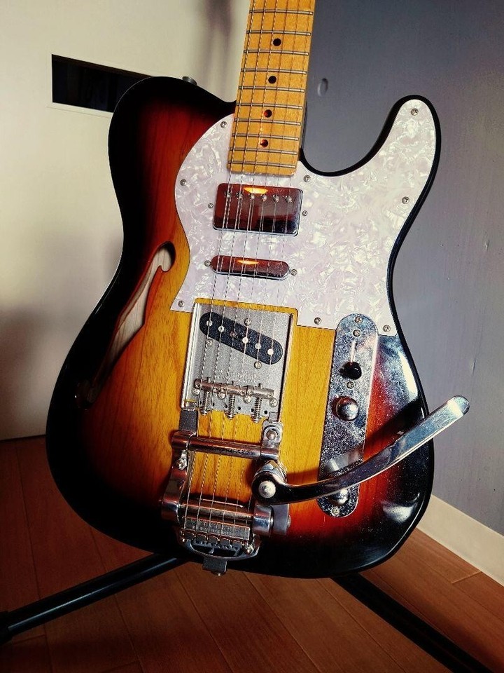 Fender Japan Thinline Telecaster Fujigen Bigsby USA Vintage Electric ...
