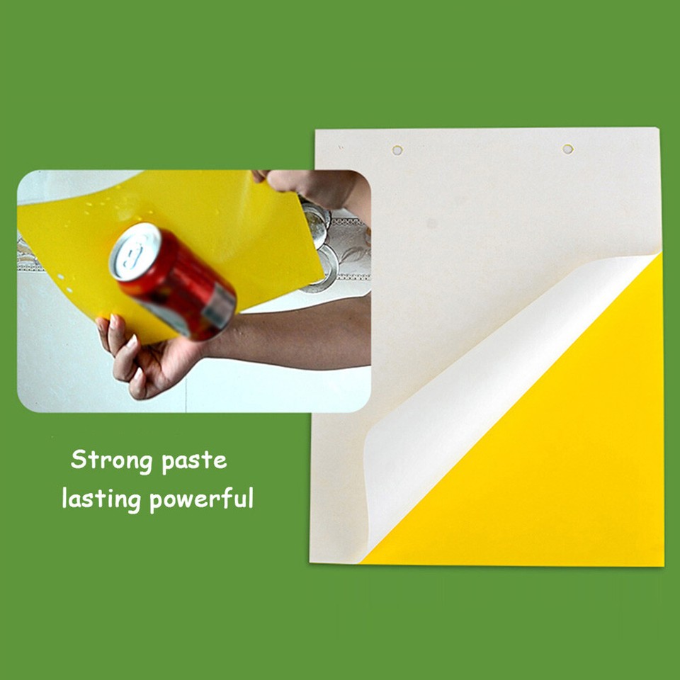 100Pcs Dual-Sided Sticky Traps Bugs Sticky Board Catching Aphid Insects ...