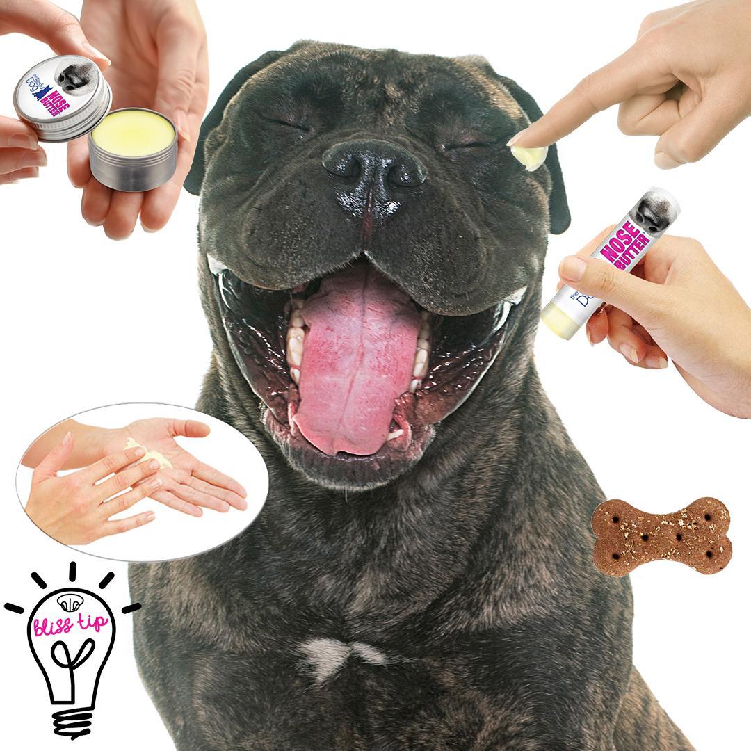 French Bulldog Blissful Dog Frenchie Nose Butter Tin Rough Dry Crusty ...