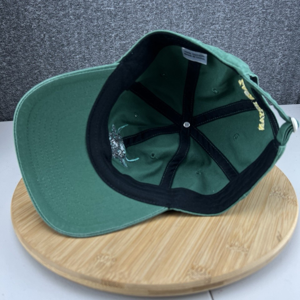 Zach Bryan Burn Burn Burn Tour Hat Cap Strapback OSFM Green Merch ...