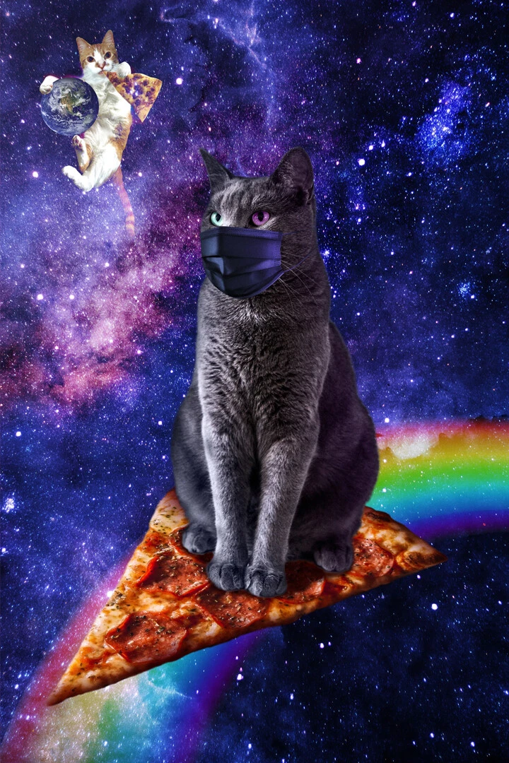 Galaxy Pizza Cat