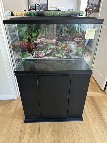 29 Gallons Fish Tank With Hood Light, Filter, Gravel And Stand. 47 ...