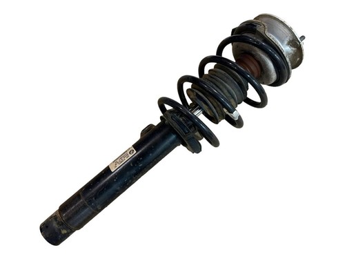 BMW Ammortizzatore Anteriore Sinistro 31316789853 X1 E84 | eBay