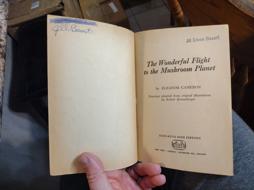 The Wonderful Flight to the Mushroom Planet Eleanor Cameron 1966 1st ...