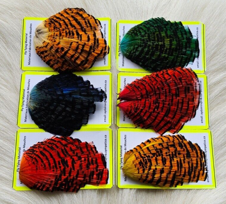 Golden Pheasant Tippets Combo. Color; (6) asst. colors . Free Shipping ...