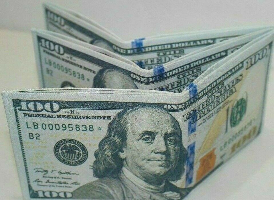 100 Pack - 100 Hundred Dollar Bill Wallets Money Bi-Fold Card Holder ...