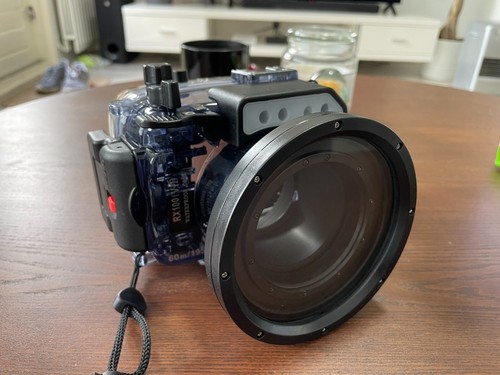 Sea Frogs 60m/195ft Diving Camera Waterproof Housing Case for Sony ...