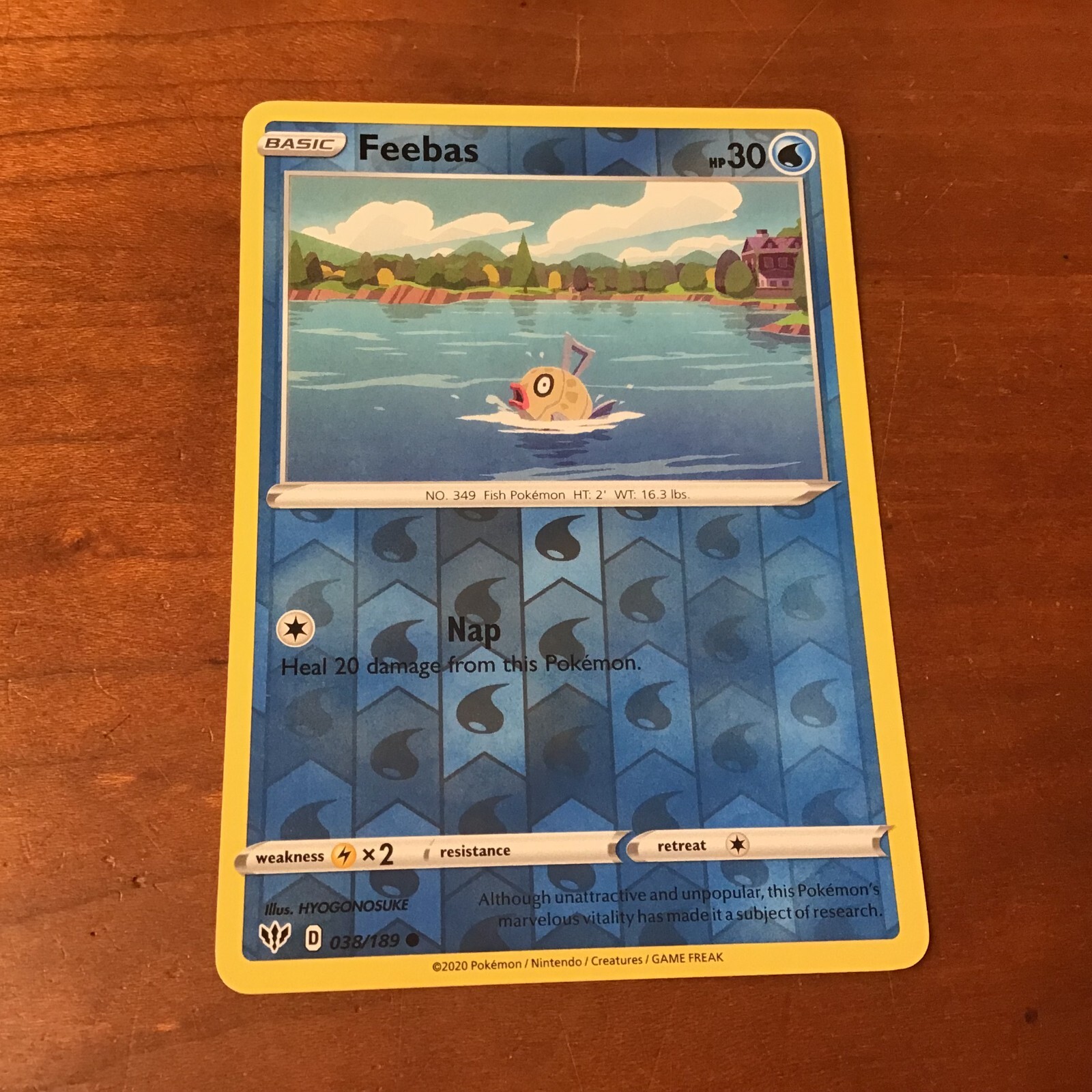 Feebas - 38/189 - Darkness Ablaze - Reverse Holo - Pokémon TCG - NM | eBay