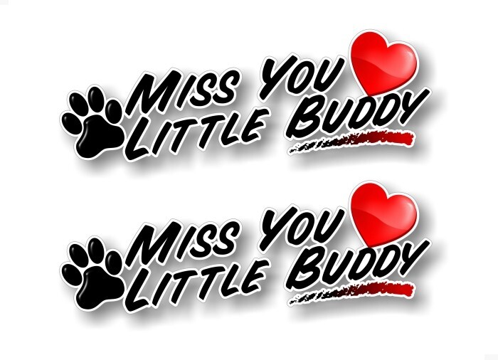 Missing You Buddy GABRIELLA, Buddy And I Are Going To Miss You So So