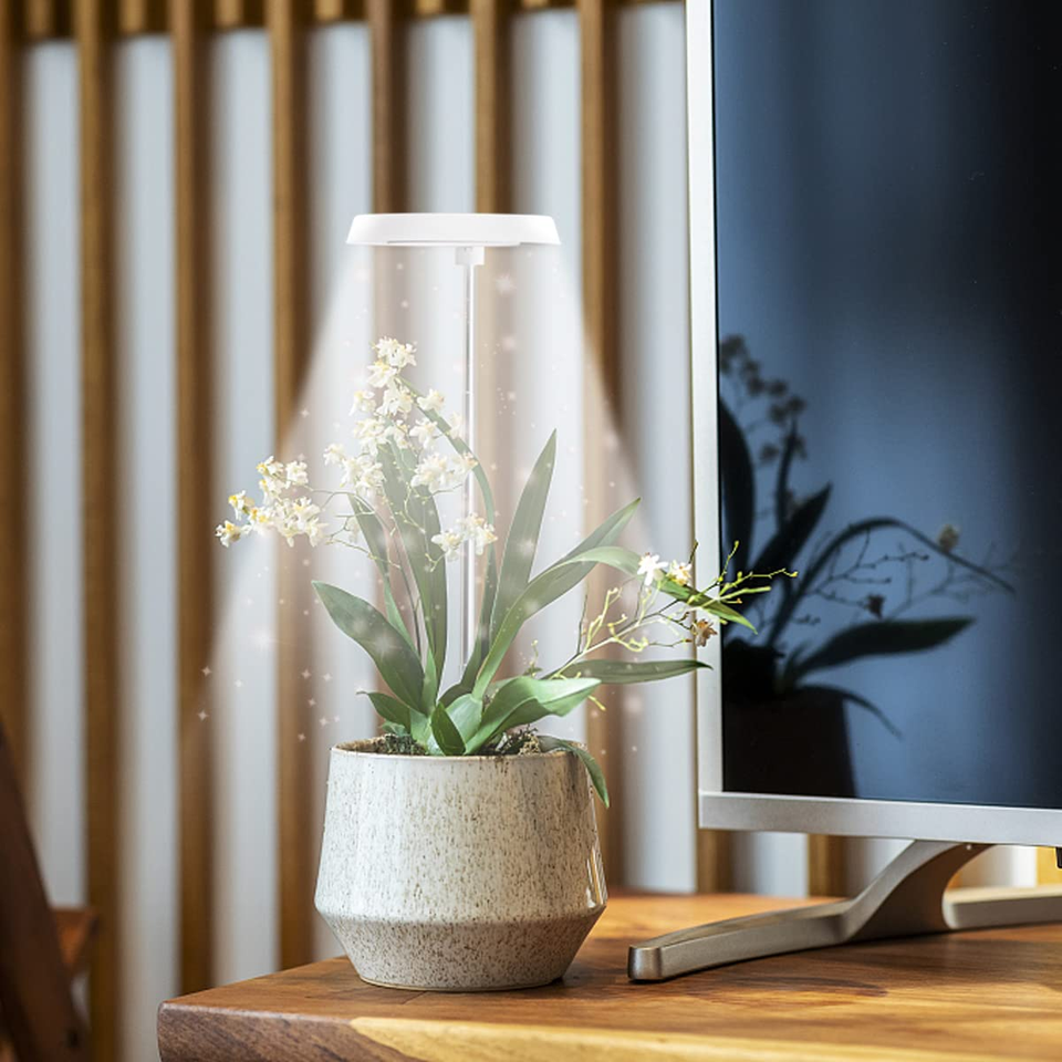 GYTF Halo Grow Light 6000K LED w/ Timer, Dimmable, Adjustable for ...