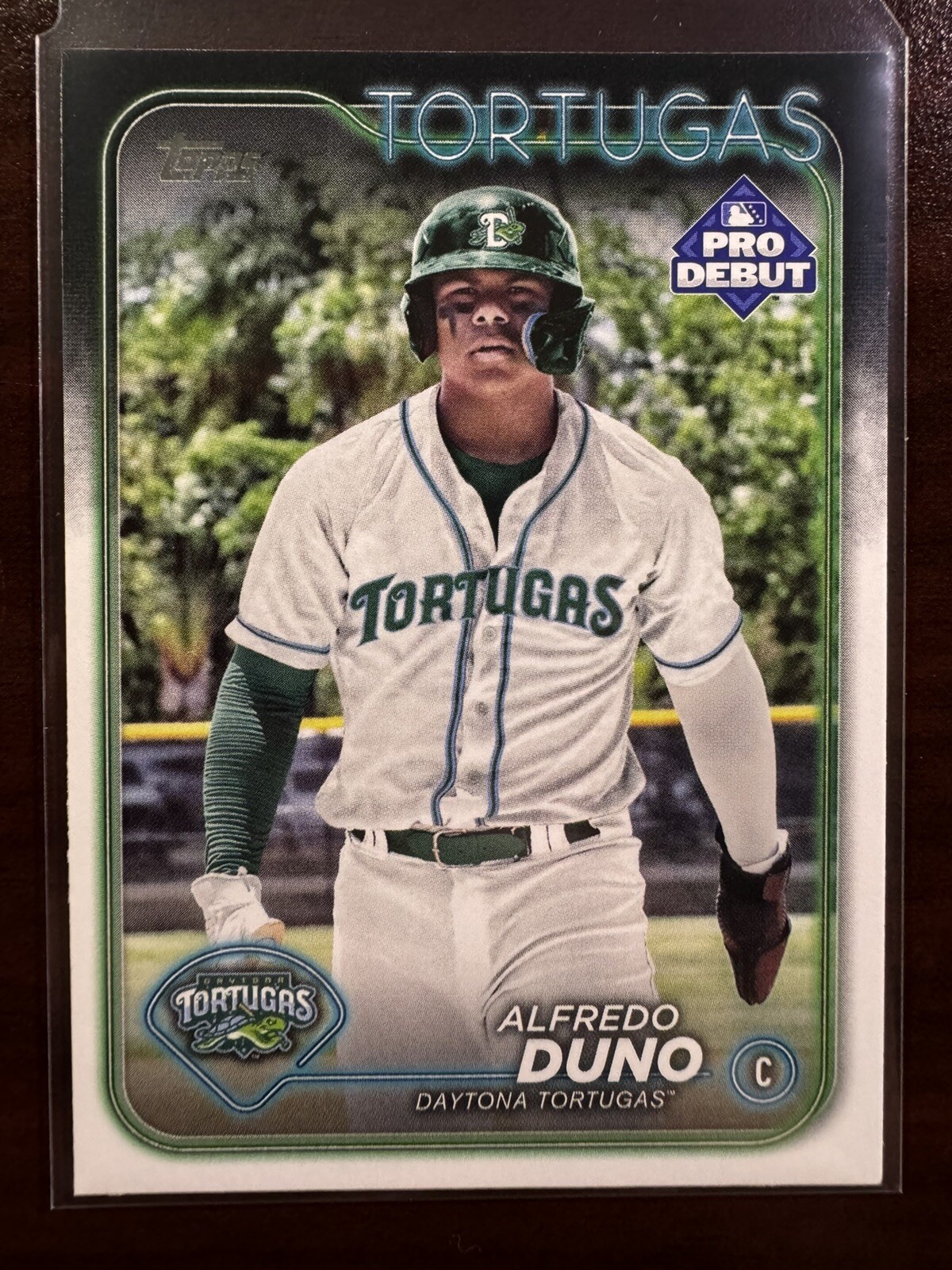 2024 Topps Pro Debut #PD-102 Alfredo Duno - Tortugas/Reds | eBay