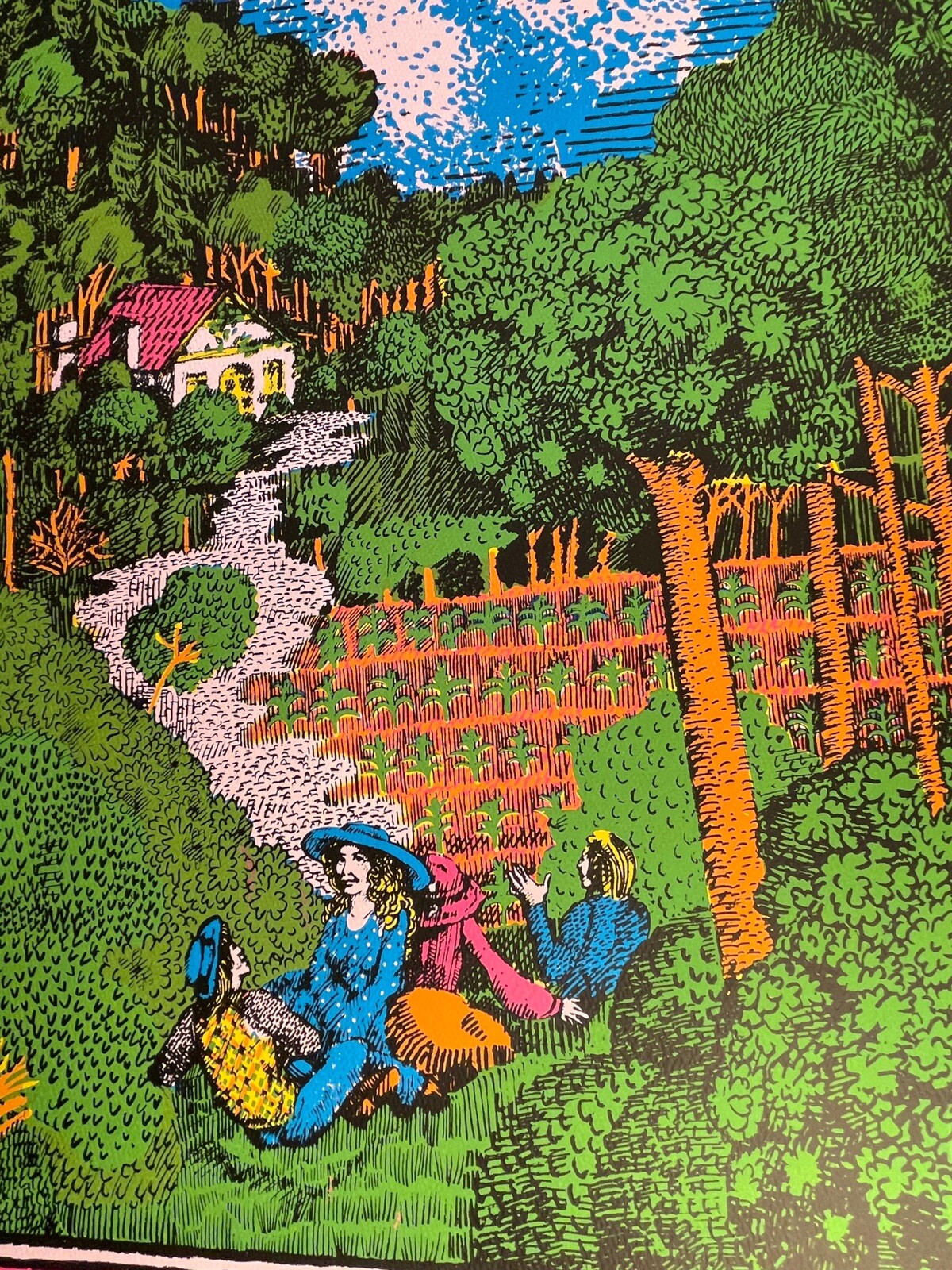 1970's Hand Silk-Screened Day-Glo Poster of Rainbow Picnic. Just a Few ...