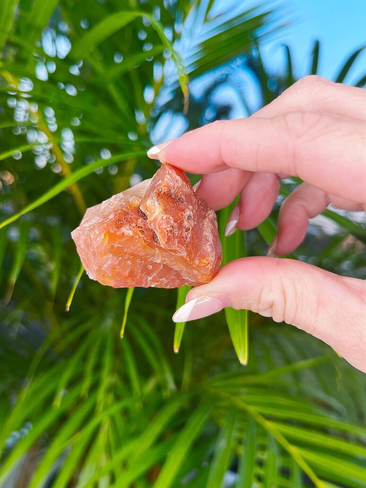 5 PCS Natural Raw Carnelian Stone Rough Red Agate Gemstone Mineral ...