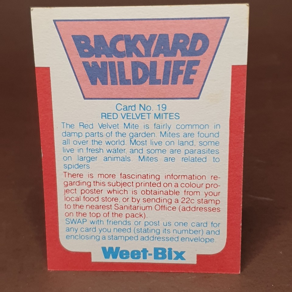 Weet-Bix BACKYARD WILDLIFE card # 19 Red Velvet Mites | eBay