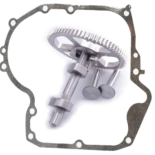 Dosens 793880 Camshaft Kit Compatible with Briggs & Stratton 793583 ...