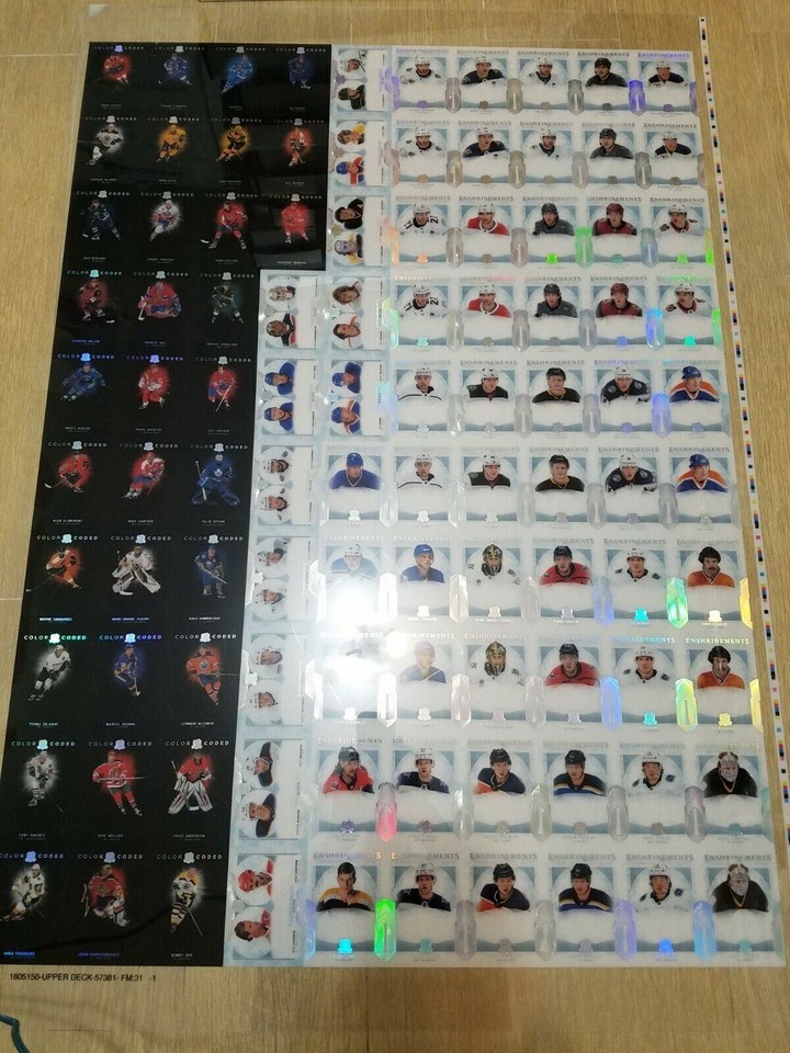 Steven Stamkos Lightning 2017-18 Upper Deck the Cup Color Coded Blank ...