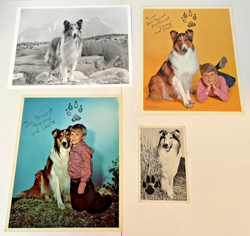 2 Lassie and Timmy 1 Lassie Photo 1 Campbell’s Soup Postcard (Lot of 4 ...