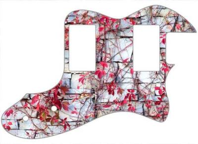 Telecaster Thinline '72 RI Pickguard Fender Guitar Custom Graphical ...