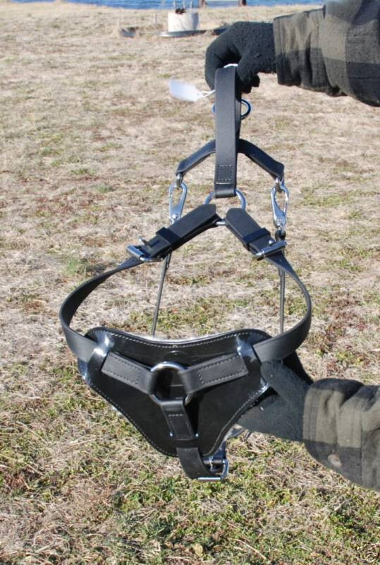 Brahma Webb Beta Dog Harness for tracking, competition, search & rescue ...