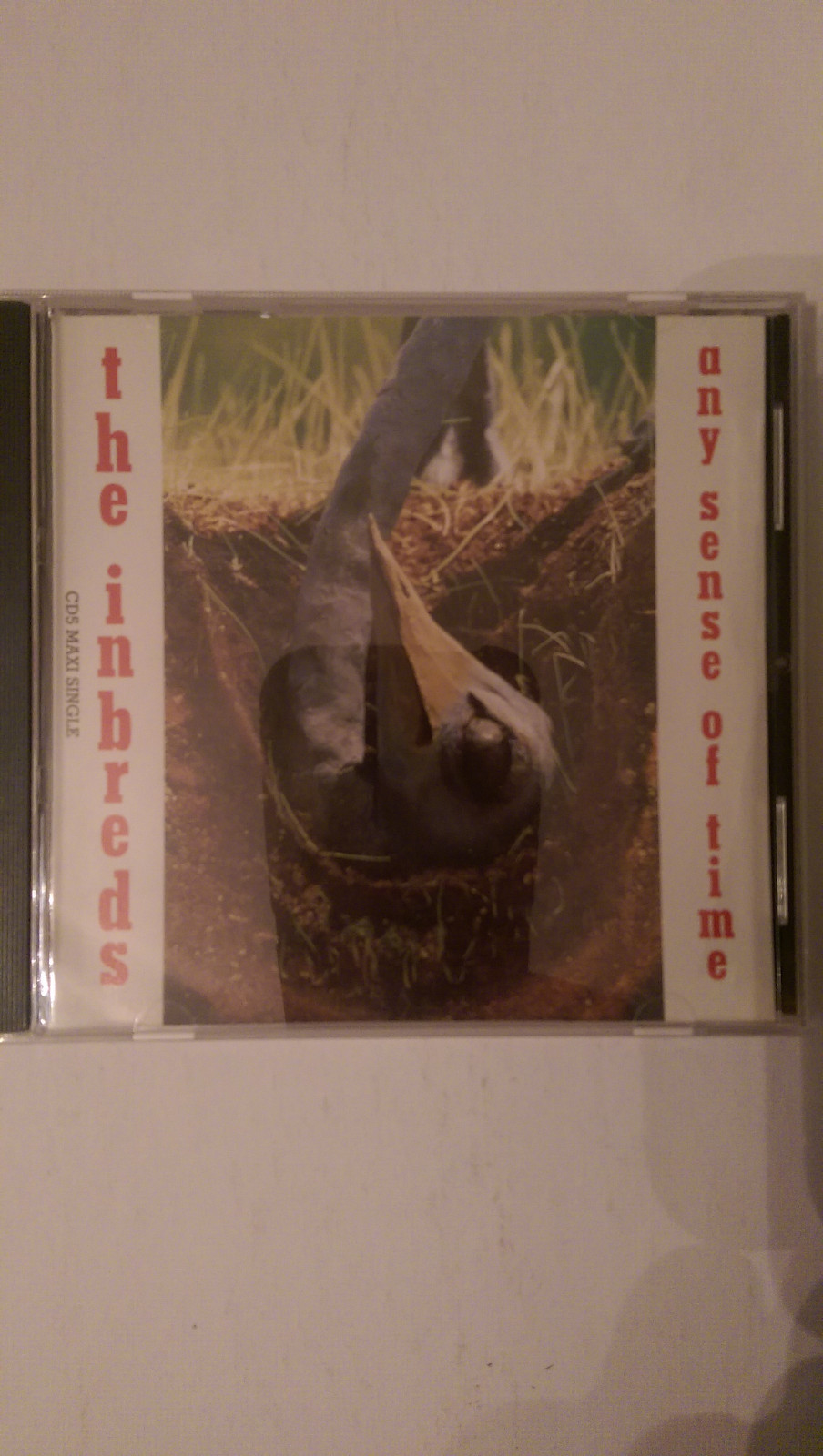 Any Sense of Time - The Inbreds (CD) | eBay