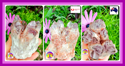 Sugar Amethyst Phantom Point CRYSTAL Gemstone Cluster AA GRADE Raw ...