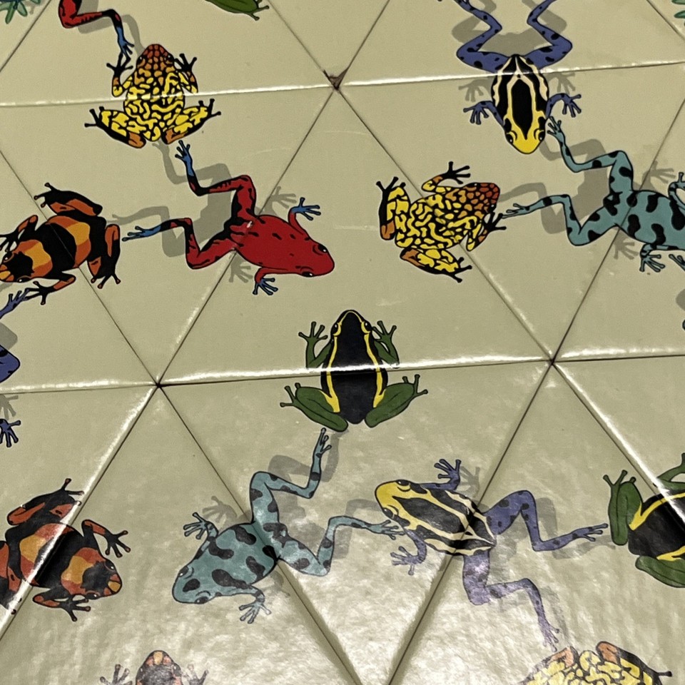 Triazzle Poison Arrow Frogs Dan Gilbert Triangle Brain Teaser Puzzle | eBay