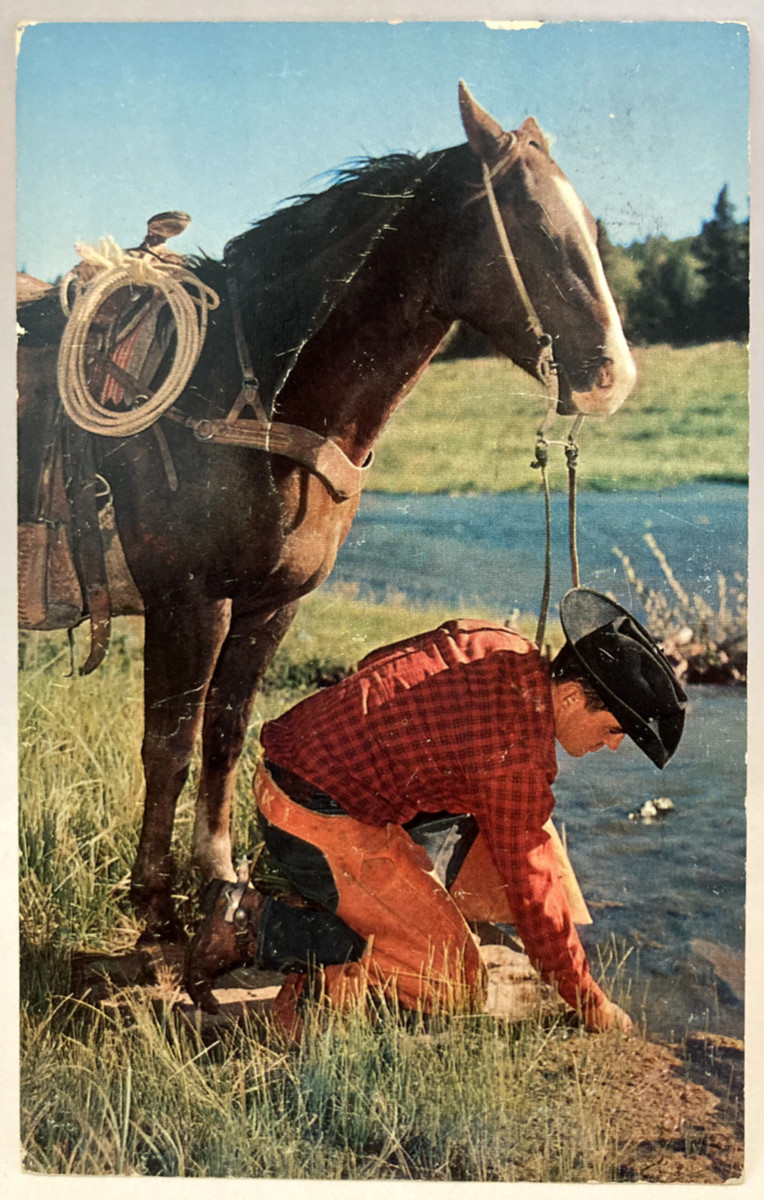 Vintage Cowboy Postcard