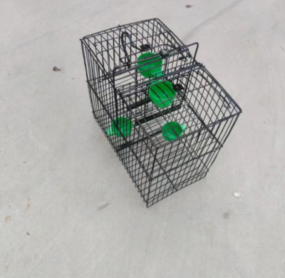 Birdcage Repeating Trap Cage Hunting Escaped bird cage Birds Catch ...