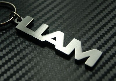 LIAM Keyring Keychain Key Fob Stainless Steel Name Gift | eBay UK