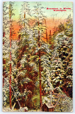 Homestead, Washington (1911) - Vintage Postcard | eBay