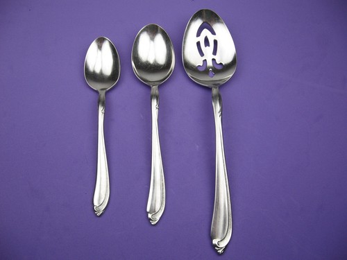 Oneida stainless WHISPERING SAND spoons: teaspoon + slotted serving ...