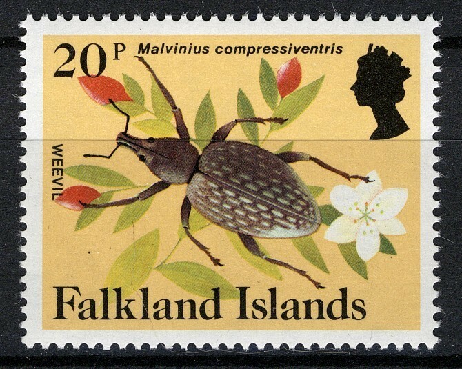 Falkland Islands 1984, Insects, Weevil VF MNH, Mi 400 | eBay
