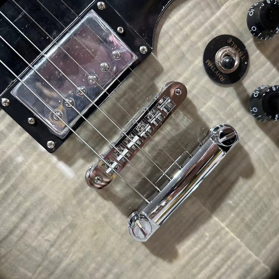 Electric Guitar Double Cut Figured Rosewood Fretboard Flame Top Tune-O ...