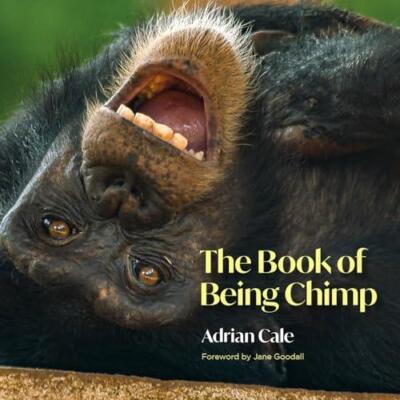 The Book of Being Chimp by Adrian Cale 9781739220501 NEW Hardback | eBay UK
